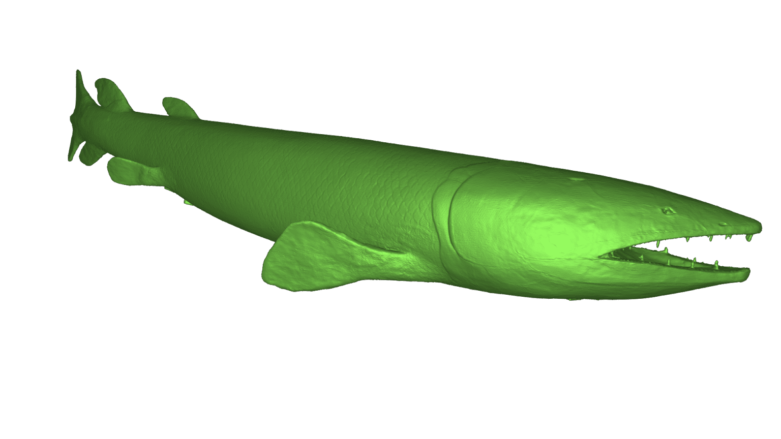 Canowindra Fossil Fish 3D Scan - 3DMEK